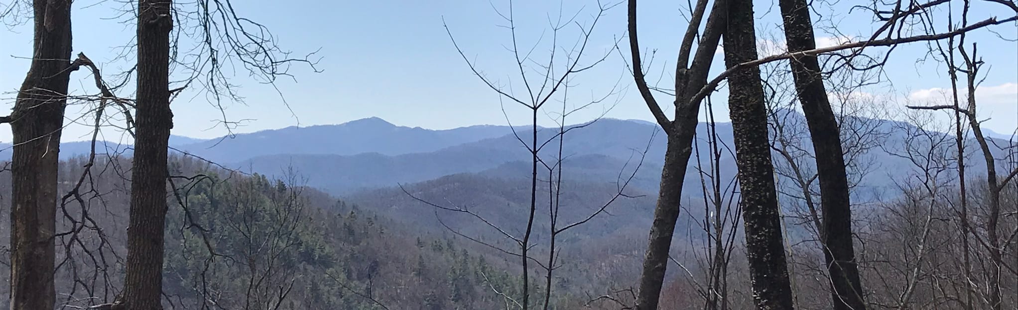 Appalachian Trail: Tanyard Gap to Spring Mountain: 51 Reviews, Map ...