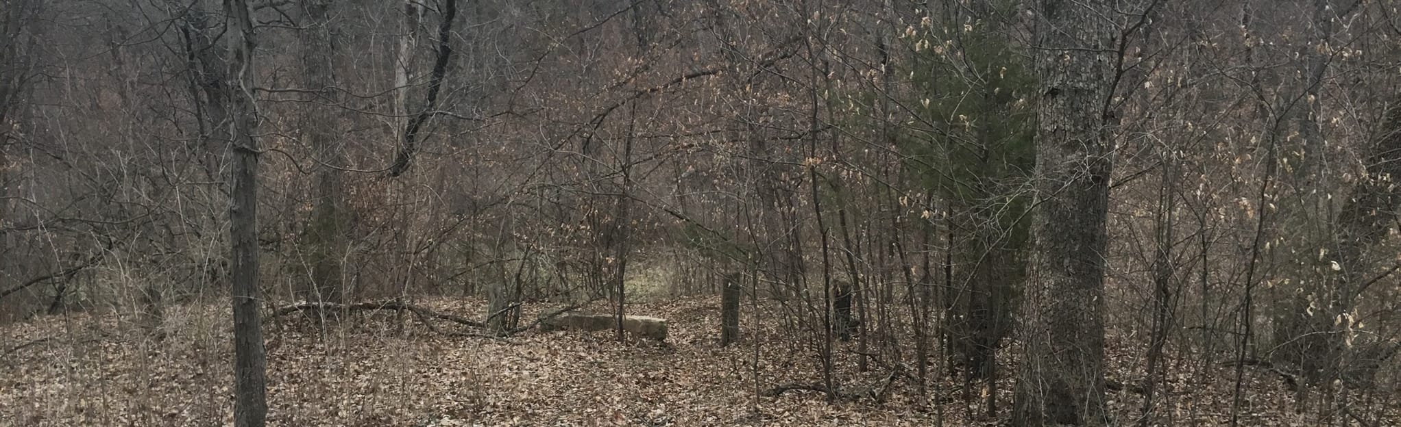 Martin Park Loop: 22 Reviews, Map - Kansas | AllTrails