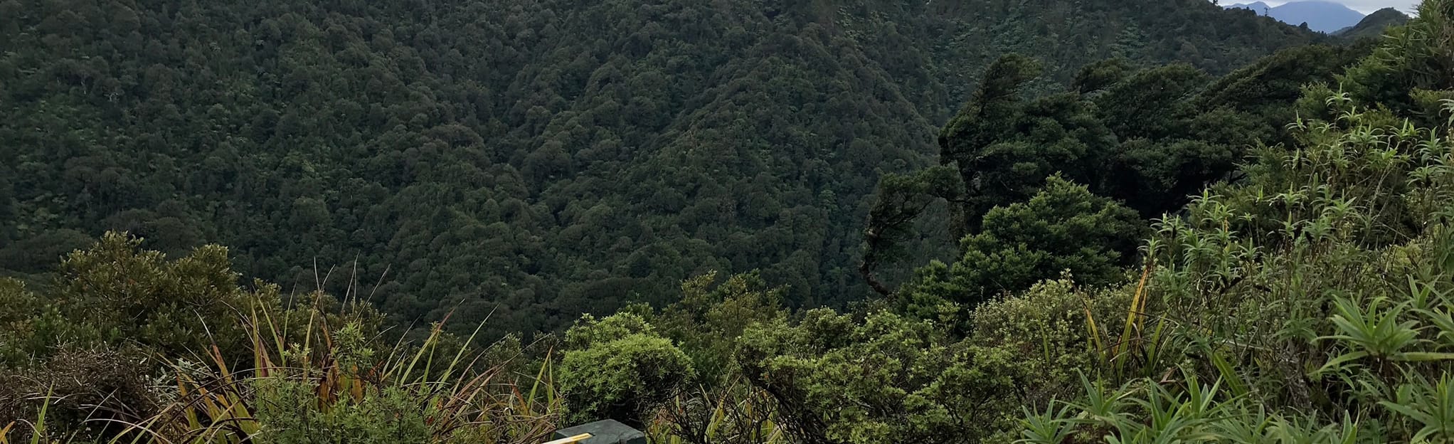 Sentinel Rock Lookout Track: 71 Reviews, Map - Bay of Plenty, New ...