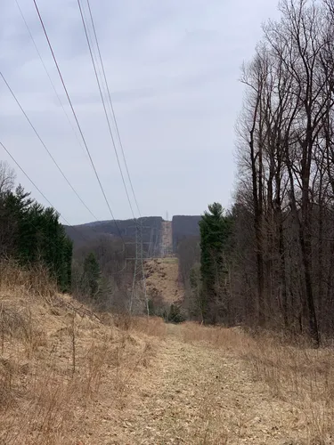 2023 Best Views Trails in High Bridge | AllTrails