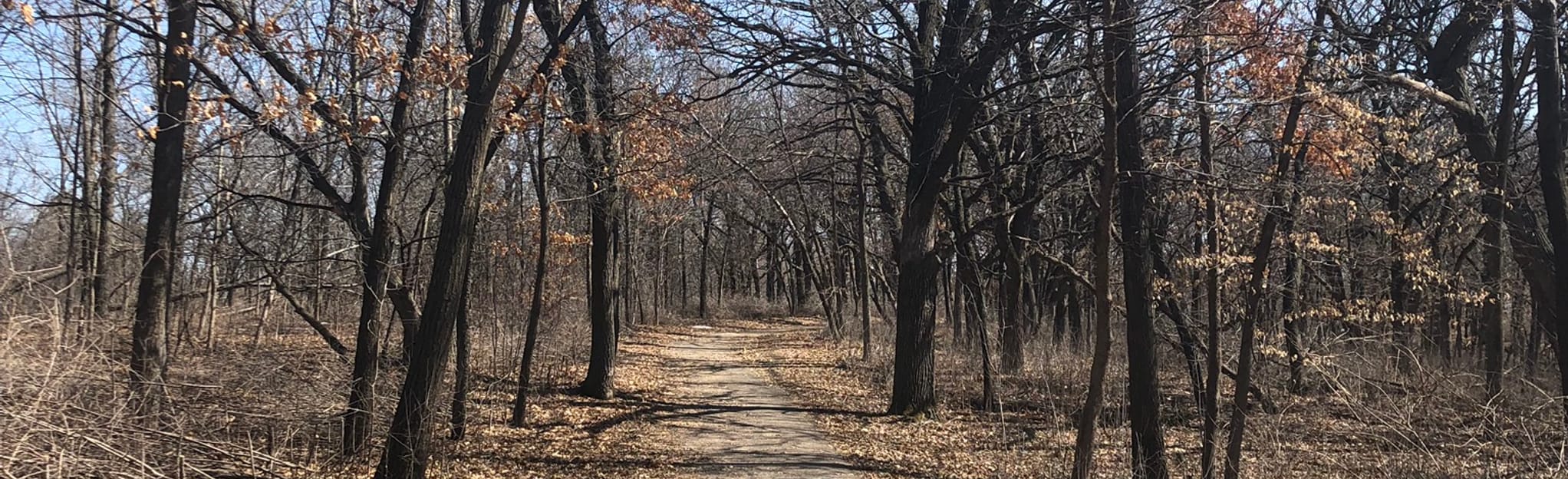Big Willow Park Loop: 416 Reviews, Map - Minnesota | AllTrails