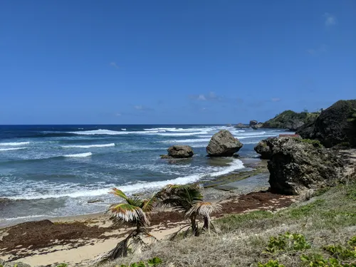 10 Best Trails and Hikes in Barbados | AllTrails