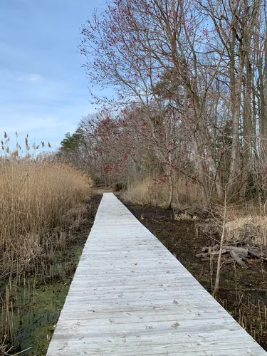 10 Best Trails and Hikes in Dover | AllTrails