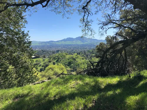 10 Best Hikes and Trails in Briones Regional Park | AllTrails