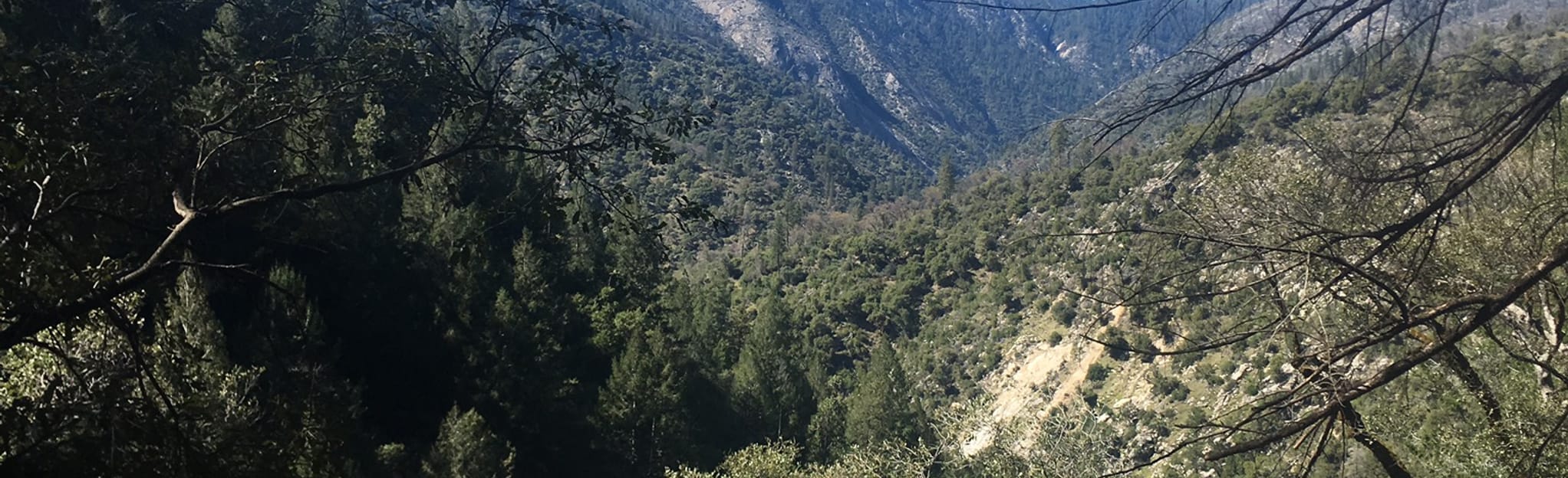 Feather Falls Loop Trail [CLOSED]: 971 Reviews, Map - California ...