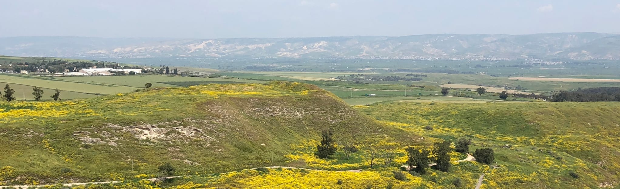 Tel Naharon and Ancient Beit Shean Loop: 182 Fotos - Northern District ...