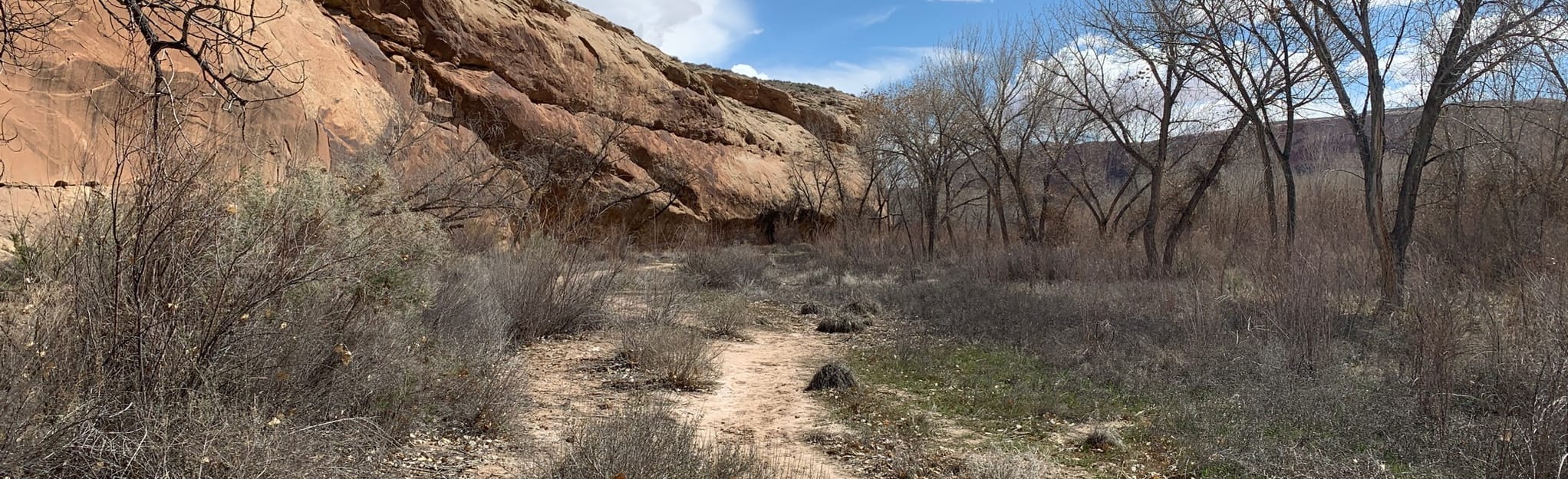 Upper Sand Island Petroglyphs Trail, Utah - 67 Reviews, Map | AllTrails