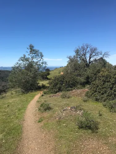 10 Best Waterfall Trails in Mount Diablo State Park | AllTrails