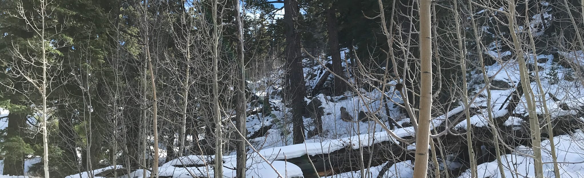 Cerro Botella Azul: 16 Reviews, Map - Baja California, Mexico | AllTrails