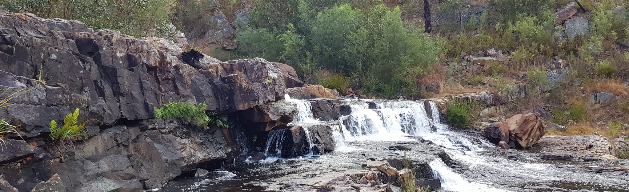 MacKenzie River Walk from Zumstein Picnic Area | Map, Guide - Victoria ...