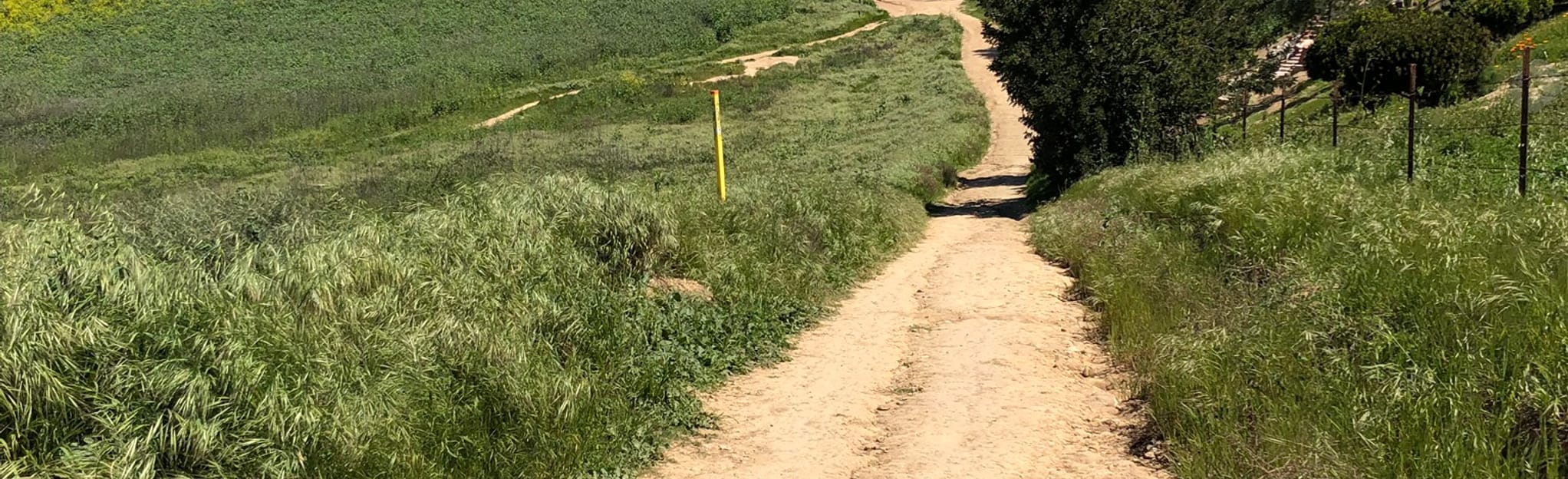 South Ridge Trail to Telegraph Canyon Road Loop, California - 474 ...