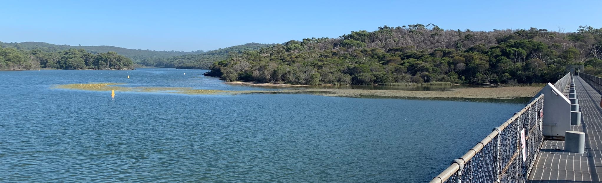 Manly Dam Alternative Loop: 594 foto's - New South Wales, Australia ...