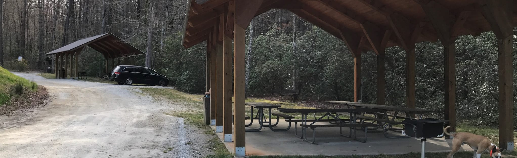 Rabun County Park Loop: 43 Reviews, Map - Georgia | AllTrails