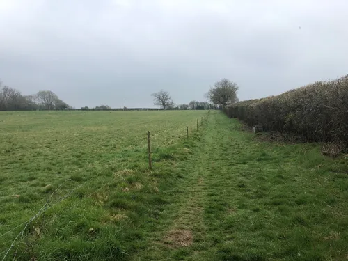 10 Best Trails, Walks, and Paths in Henfield | AllTrails