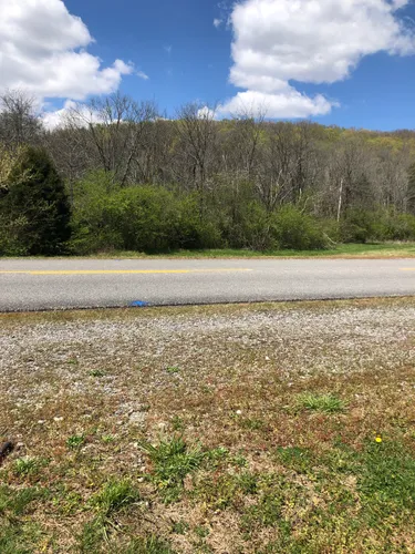 Cathedral Caverns State Park: de beste routes om te wandelen | AllTrails