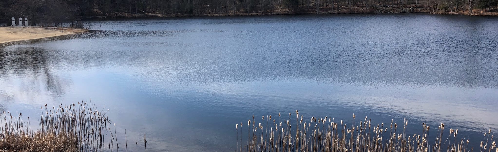 Red, Green, Blue, and Spaulding Pond Loop, Connecticut - 200 Reviews ...