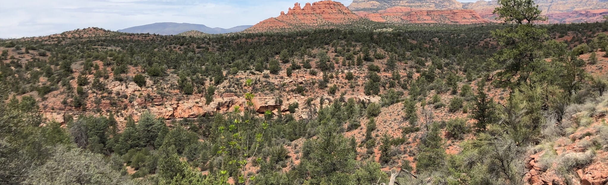 Girdner, Roundabout and Remnant, Arizona - 502 Reviews, Map | AllTrails