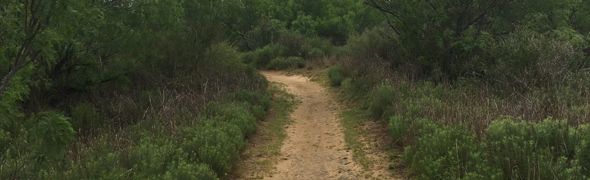 Shiloh Trails, Texas - 301 Reviews, Map | AllTrails