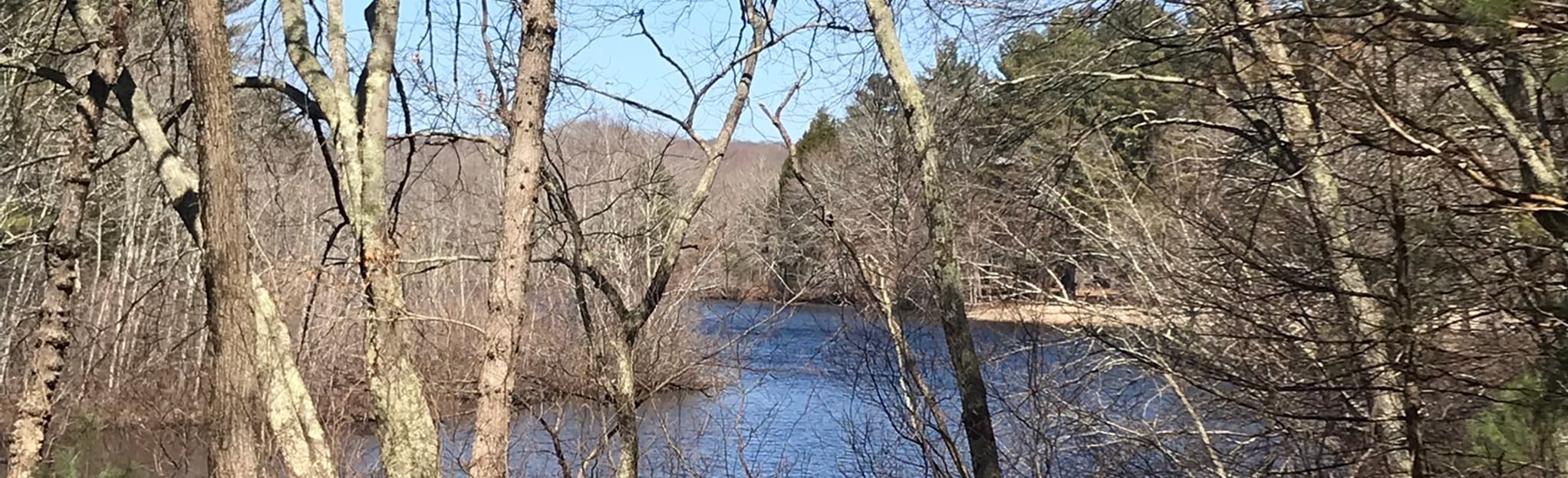 Hopeville Pond State Park Loop [CERRADA] - Connecticut | AllTrails