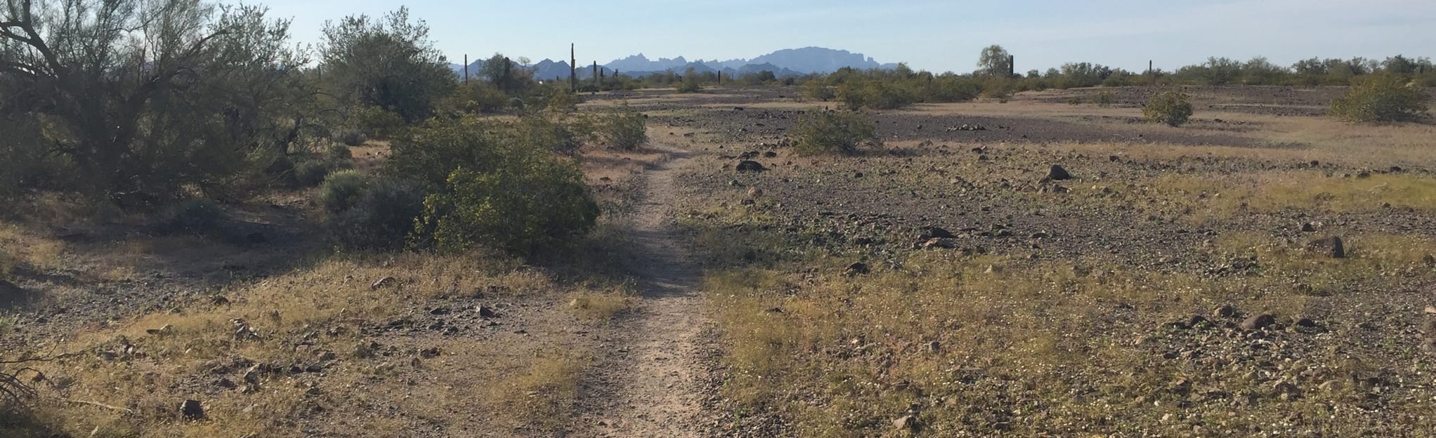 Magic Circle Loop: 29 Reviews, Map - Arizona | AllTrails