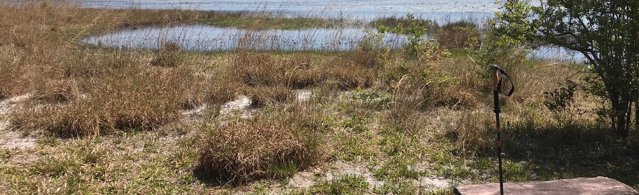 Goethe Equestrian Trail | Map, Guide - Florida | AllTrails