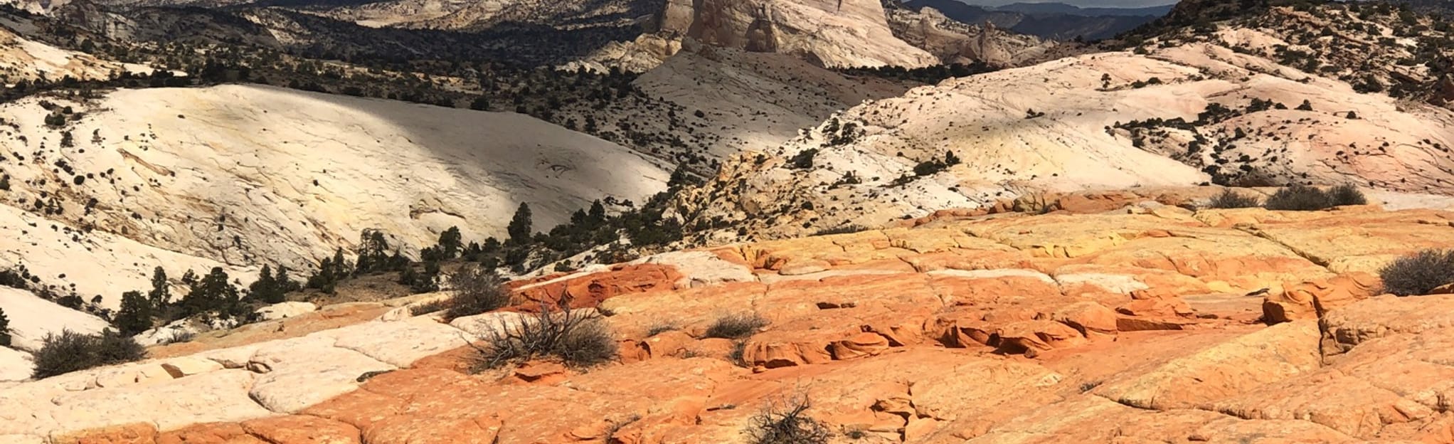 Yellow Rock, Utah - 146 Reviews, Map | AllTrails