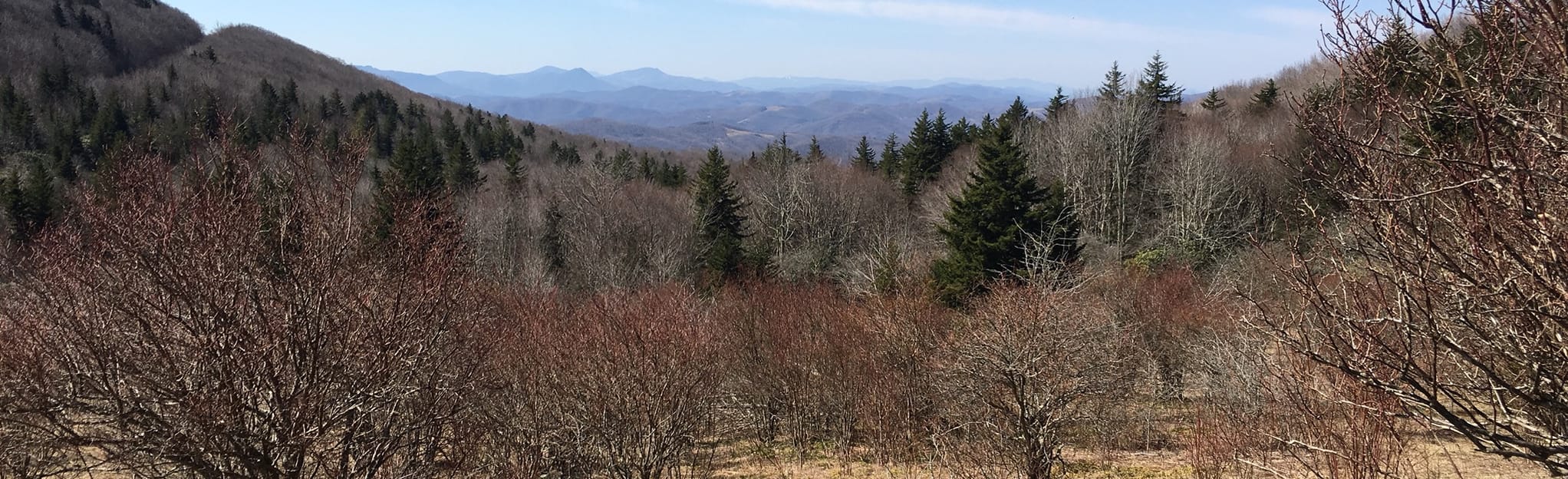 Appalachian, Little Pinnacle and Haw Orchard Mountain Loop | Map, Guide ...