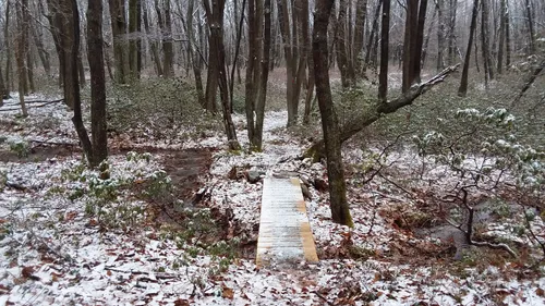 Best Forest Trails in Rockton | AllTrails