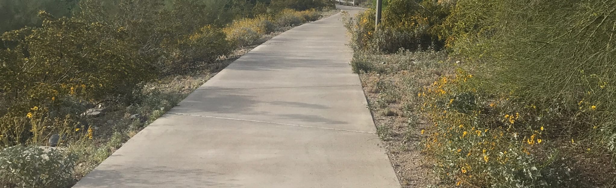 Maricopa Trail: Verrado: 162 Reviews, Map - Arizona | AllTrails