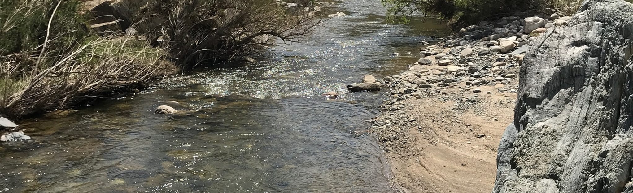Turkey Creek and Bumble Bee Road OHV Loop: 83 Reviews, Map - Arizona ...