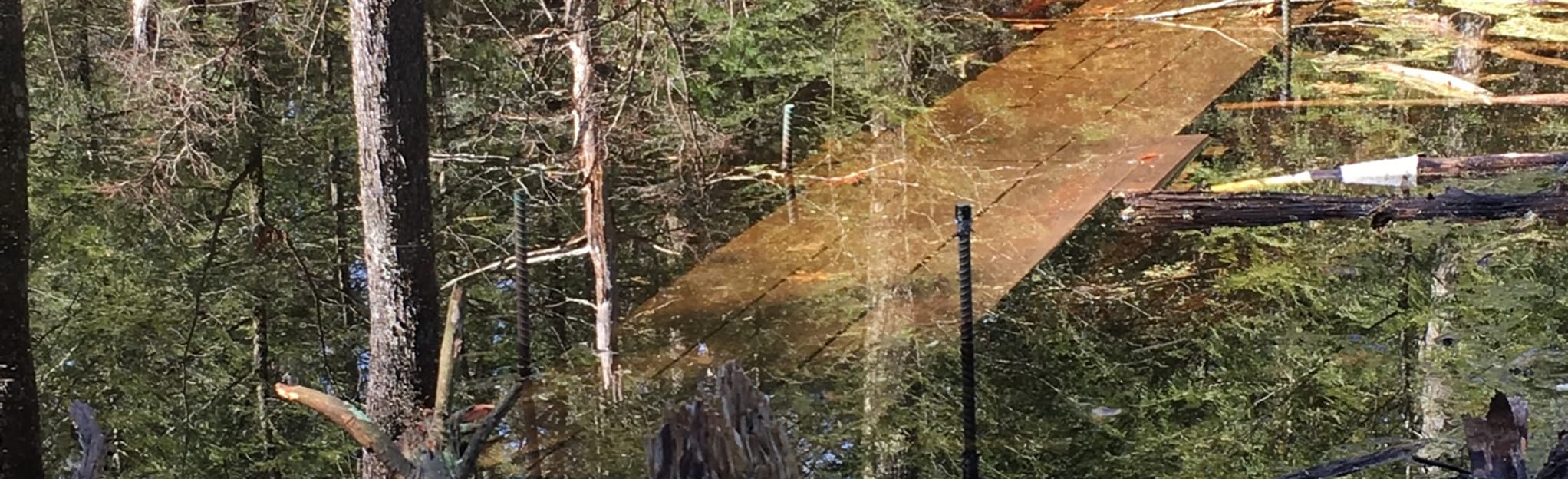 Marsh and Witch Hollow Loop : 164 Reviews, Map - Massachusetts | AllTrails