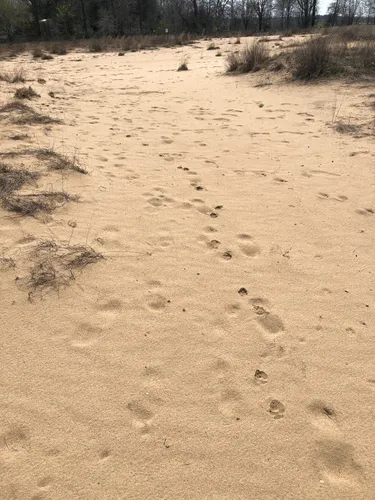 Best Hikes and Trails in Sand Prairie Conservation Area | AllTrails