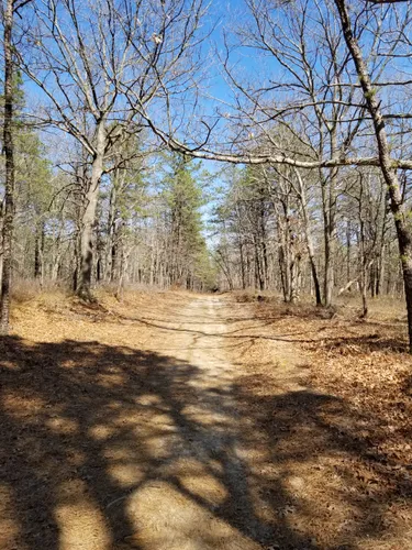 Best Hikes and Trails in Brookhaven State Park | AllTrails