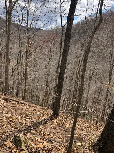 10 Best Views Trails in Kanawha State Forest | AllTrails