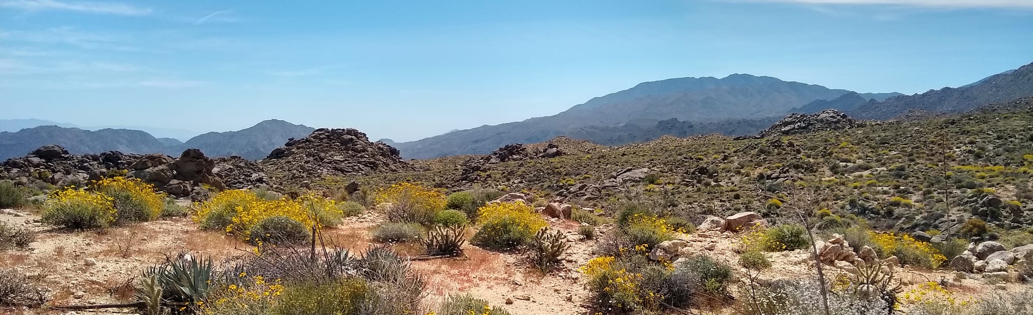 Dunn Road, California - 160 Reviews, Map | AllTrails