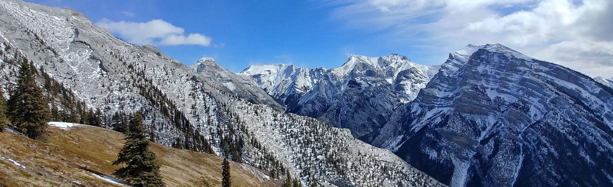Mount Lady Macdonald, Alberta, Canada - 705 Reviews, Map | AllTrails