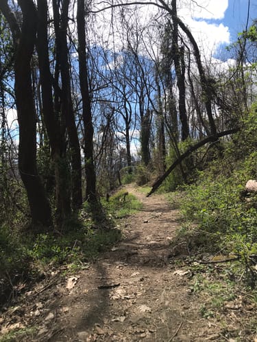 2023 Best Views Trails in Mint Spring Valley Park | AllTrails