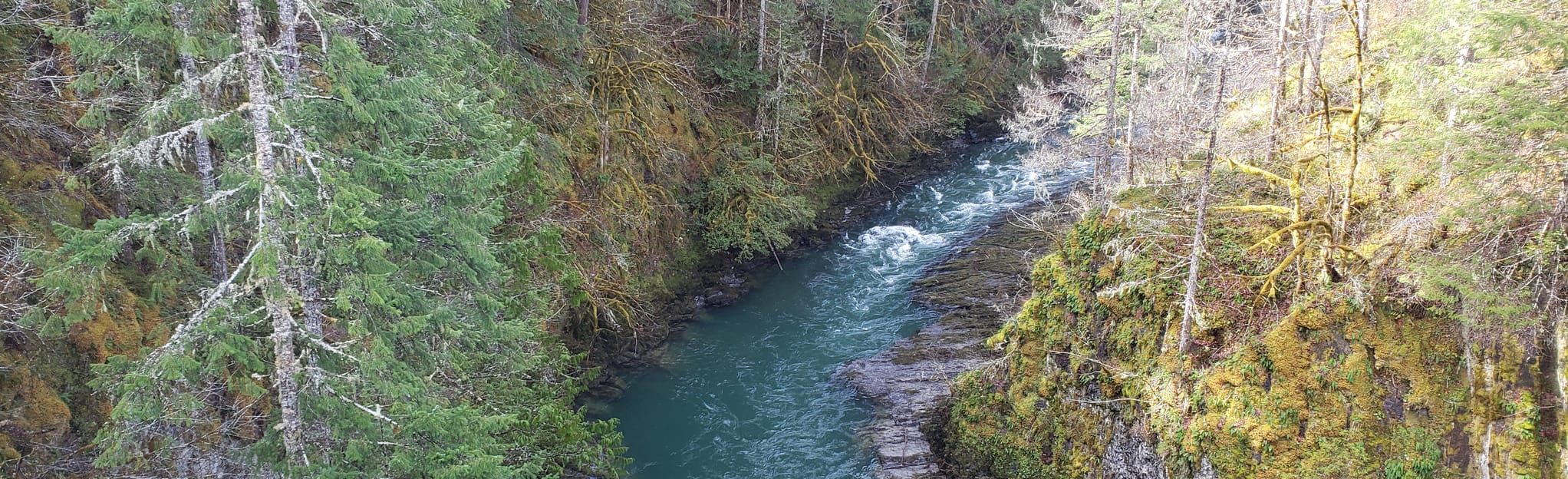 Cowichan River Trail, British Columbia, Canada - 174 Reviews, Map ...