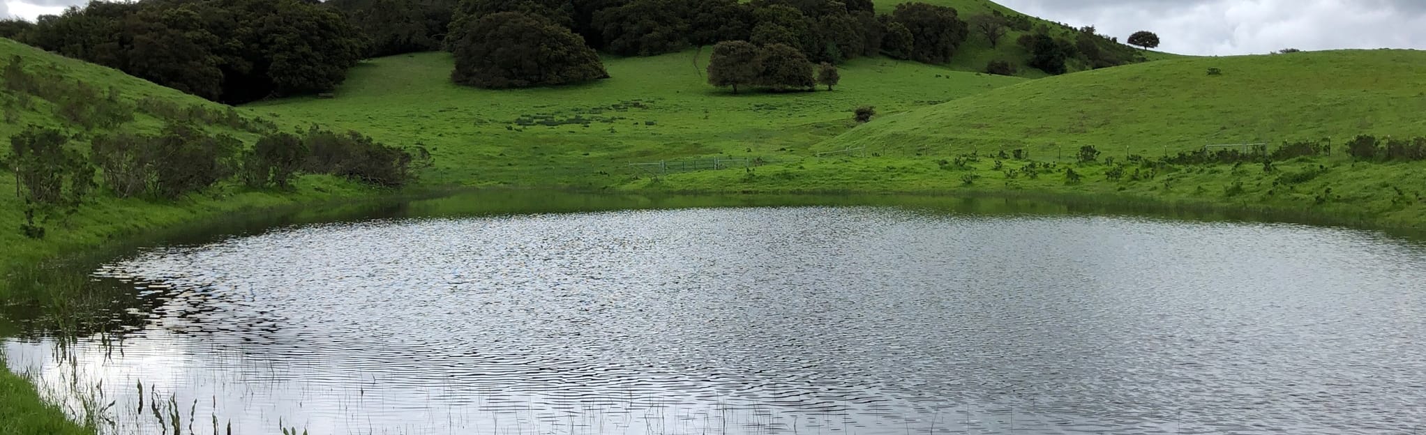 Orchard, Toyon Canyon, Briones Crest, Spengler and Diablo View Loop ...