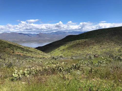 Best Hikes and Trails in Four Peaks Wilderness | AllTrails