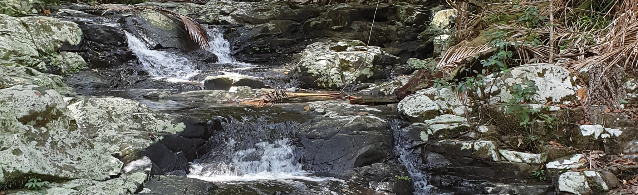 Protesters Falls Track, New South Wales, Australia - 25 Reviews, Map ...