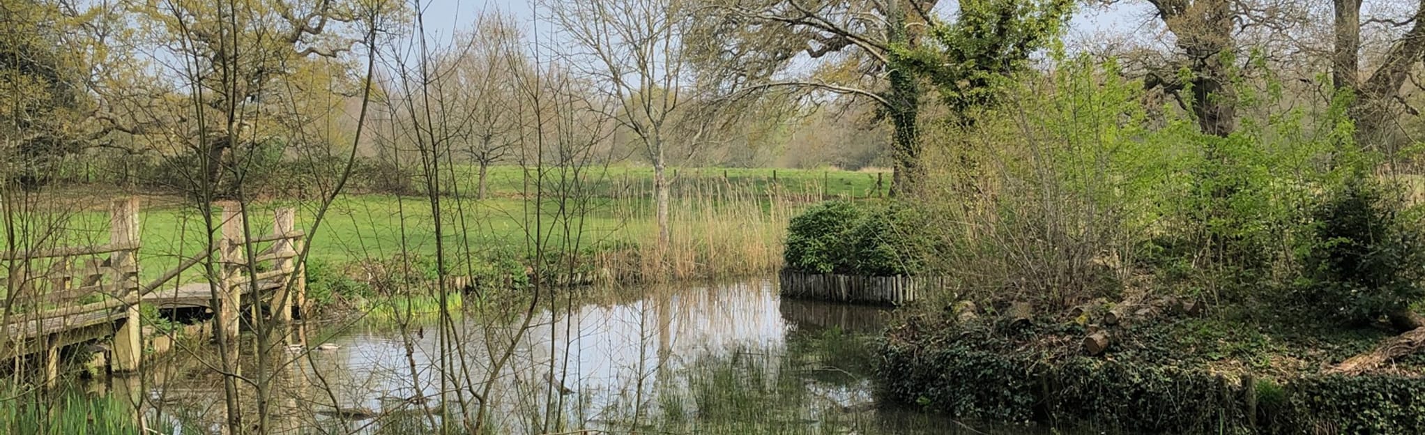 Upton Country Park Circular Walk: 49 Reviews, Map - Dorset, England ...