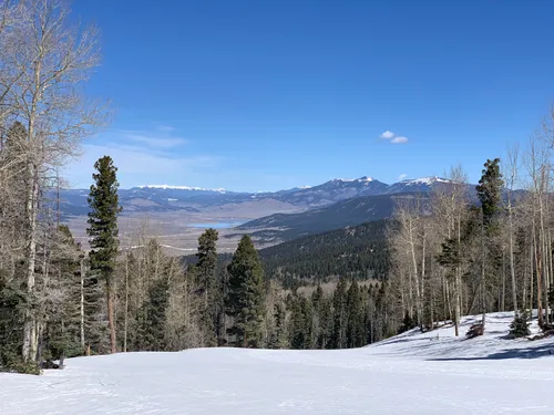 Best Wild Flowers Trails in Angel Fire | AllTrails