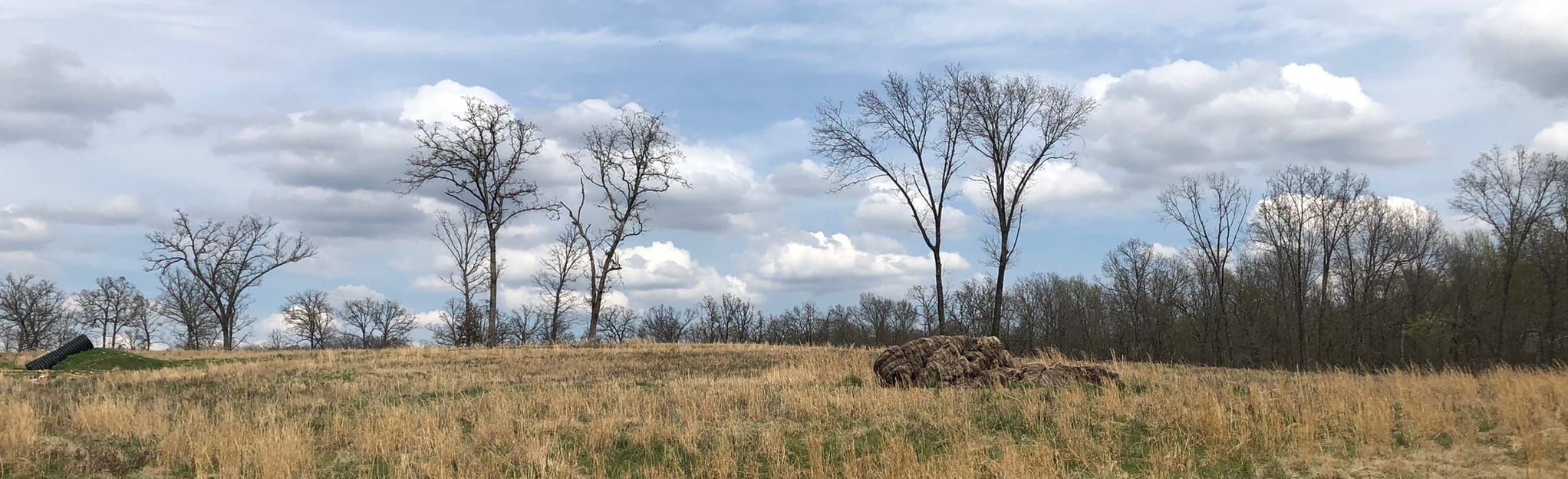 Eastern Shawnee Trail: 117 Reviews, Map - Oklahoma | AllTrails