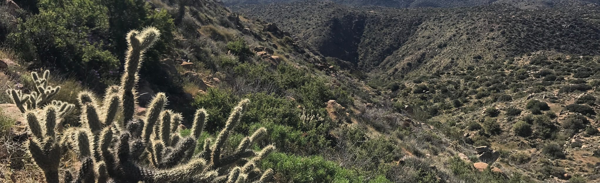 PCT: CA Section B - Warner Springs to Highway 10: 90 Reviews, Map ...