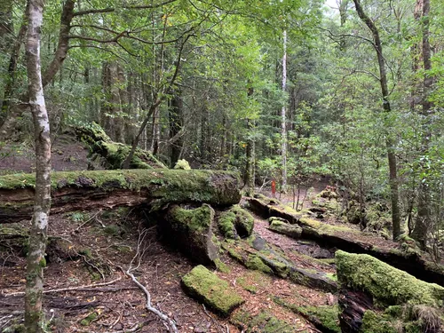 2023 Best Views Trails in Blue Tier Regional Reserve | AllTrails