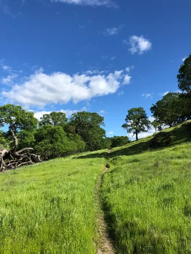 10 Best Hikes and Trails in Shell Ridge Open Space | AllTrails