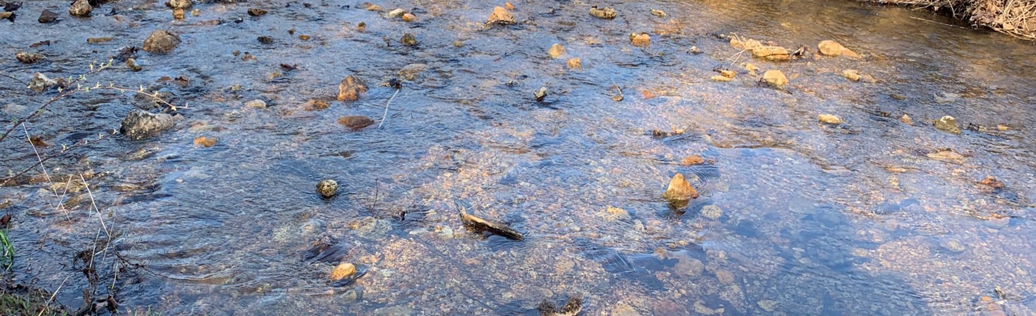 Hazel Creek Campground - Missouri | AllTrails