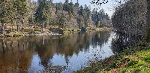 10 Best Trails, Walks, and Paths in Dunkeld | AllTrails