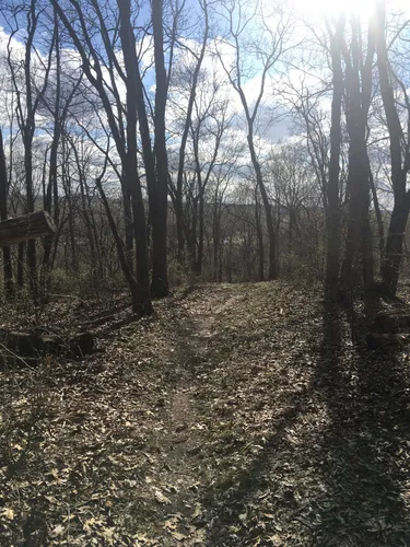 Best Hikes and Trails in Lake Red Rock | AllTrails